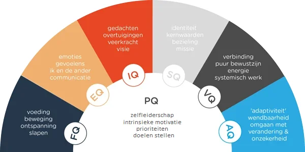 Persoonlijk leiderschap - VDS